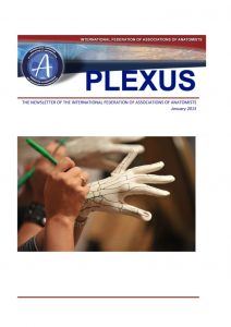Plexus - IFAA